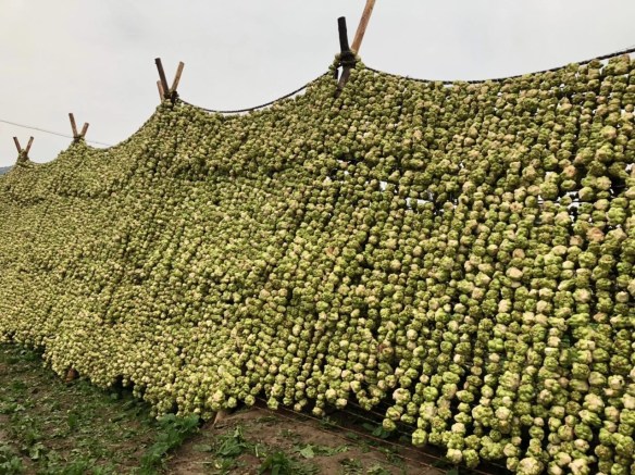 The Growth of Zhacai: China’s Pickled Vegetable Industry | Peverelli on ...